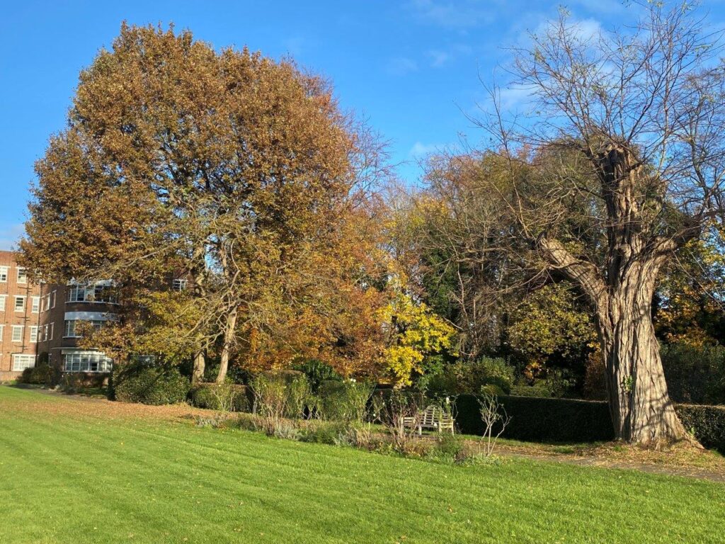 Meadowside – Cambridge Park | East Twickenham